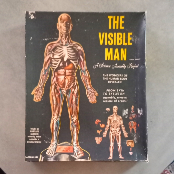 Renewal | Other | Vintage The Visible Man Science Anatomy Project ...